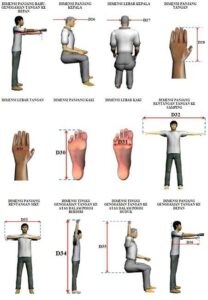 Mengenal Antropometri